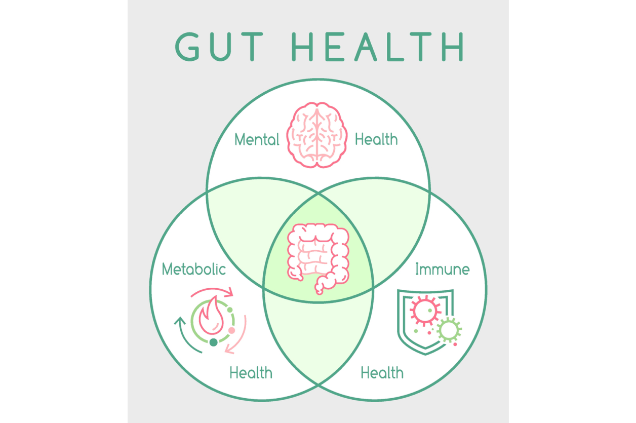 The Gut Brain Immune Connection Food Live And Nutrition